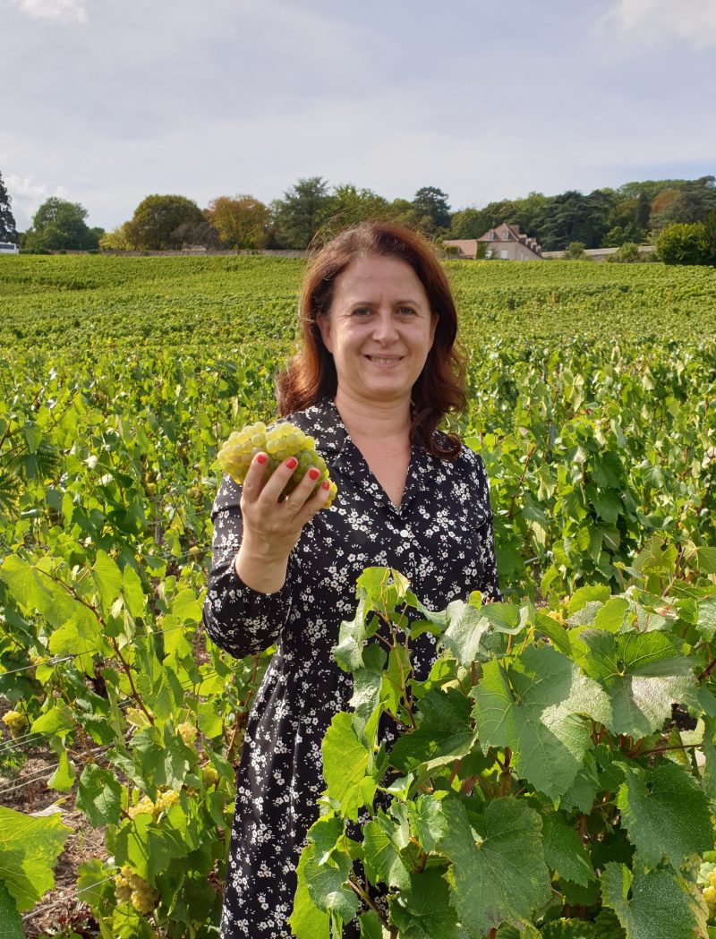 Our history - Champagne Jean-Philippe Bosser